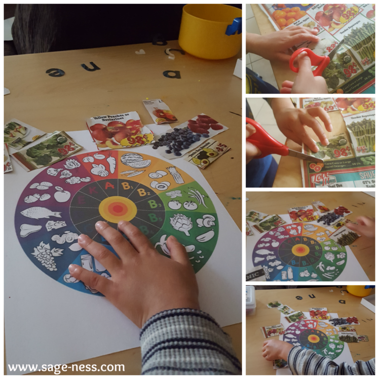 Preschool Human body, heart & organs activity | Sageness