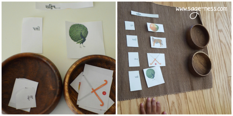 Montessori India Independence Day Activity | Sageness